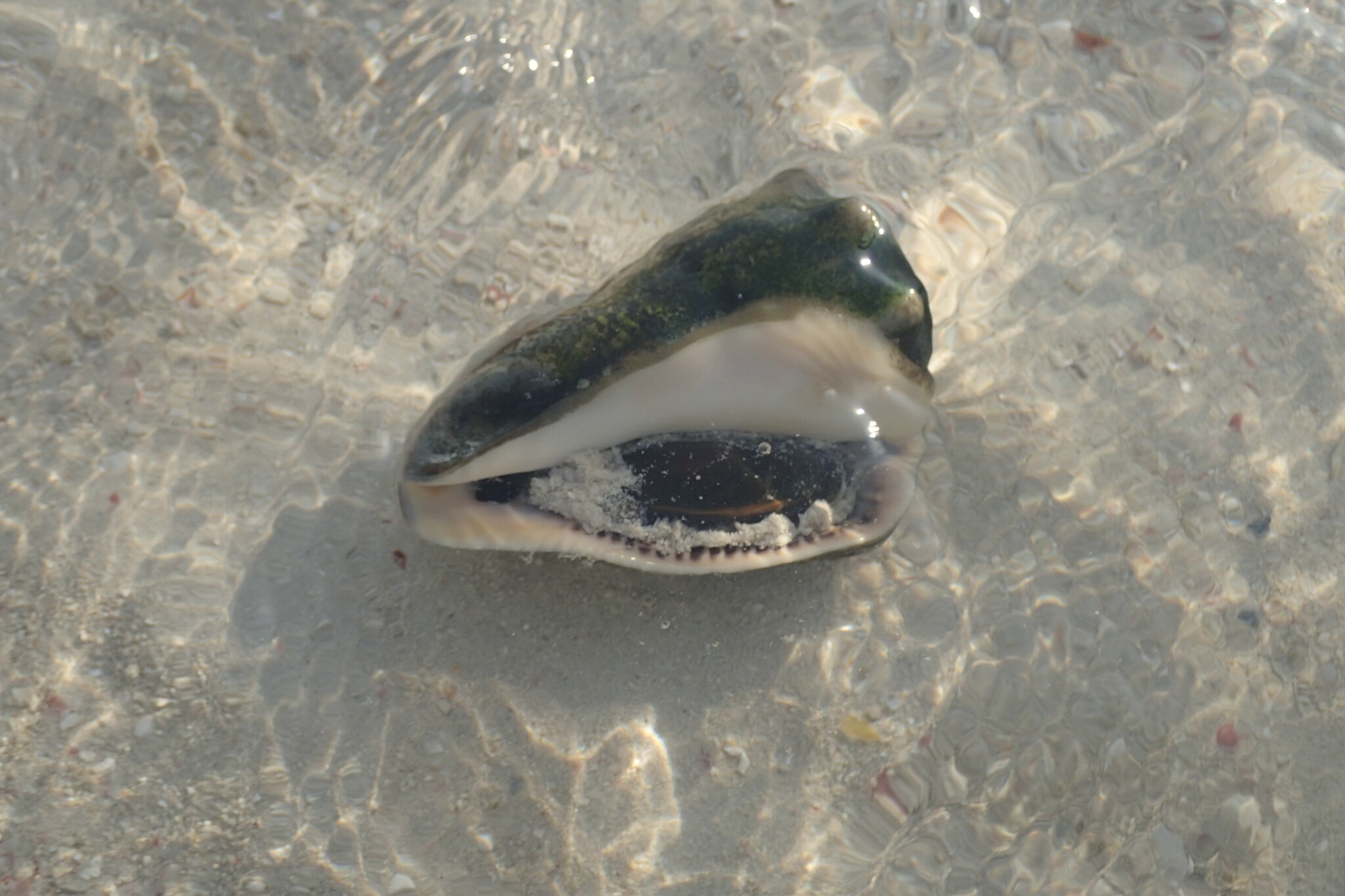 Ile Maskali et banc de sable – Le journal de Clo, notre famille ...