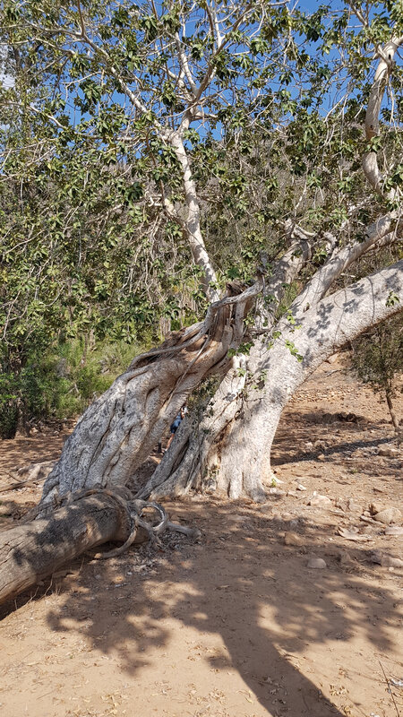 Nomado de 3 jours : Dougoum, Ditilou et les Sables blancs – Le journal ...